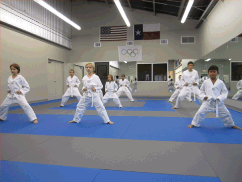 Novato GIFs - Get the best gif on GIFER