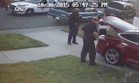 Trunk GIFs - Get the best gif on GIFER