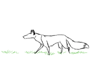 Fox GIFs - Get the best gif on GIFER