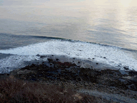 Tribu GIFs - Get the best gif on GIFER