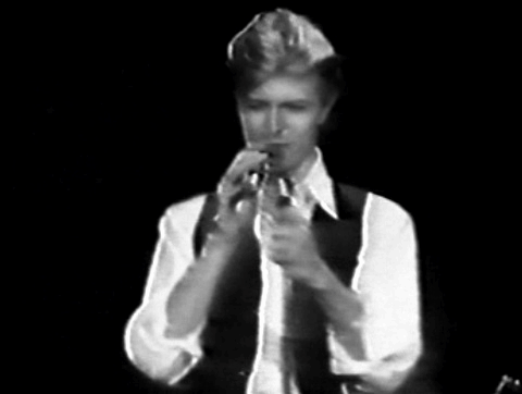 David duke GIFs - Obtenez le meilleur gif sur GIFER