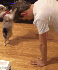 Excercise GIFs - Get the best gif on GIFER