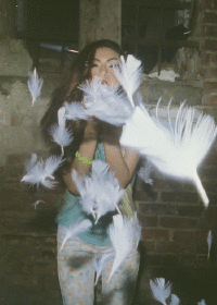 Feathers GIFs - Get the best gif on GIFER