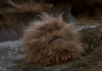 Fizzgig GIFs - Get the best gif on GIFER
