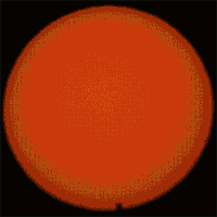 Observer GIFs - Get the best gif on GIFER