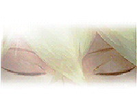 Absorbing GIFs - Get the best gif on GIFER