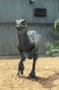 Velociraptor GIFs - Get the best gif on GIFER