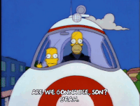 Controlling GIFs - Get the best gif on GIFER