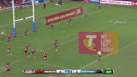 Nrl GIFs - Get the best gif on GIFER