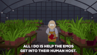 Greenhouse GIFs - Get the best gif on GIFER