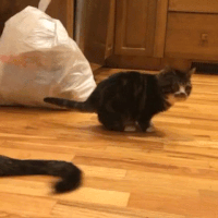 Malfunction GIFs - Get the best gif on GIFER