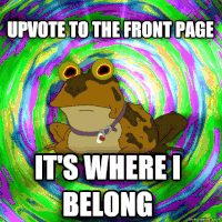 Hypnotic Frog Gif