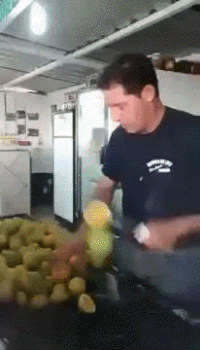 Chop GIFs - Get the best gif on GIFER