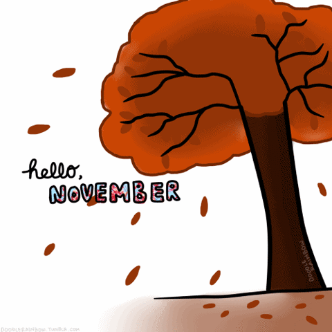 November GIFs - Get the best gif on GIFER