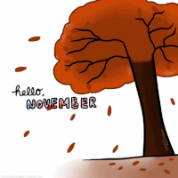 November GIFs - Get the best gif on GIFER