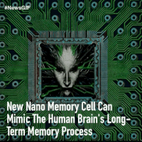 Skynet GIFs - Get the best gif on GIFER