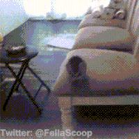 Meems GIFs - Get the best gif on GIFER