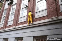 Quidditch GIFs - Get the best gif on GIFER