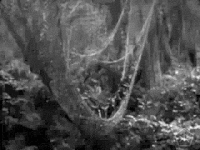 Open knowledge GIFs - Get the best gif on GIFER