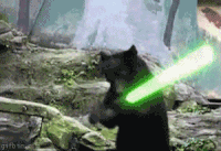 Padawan GIFs - Get the best gif on GIFER