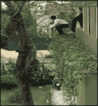 Tree climbing GIFs - Get the best gif on GIFER