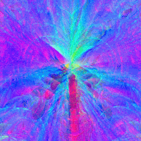 Dm GIFs - Get the best gif on GIFER