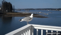 Porches GIFs - Get the best gif on GIFER