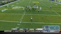 Stadium GIFs - Get the best gif on GIFER