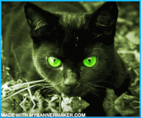 Vert GIFs - Get the best gif on GIFER