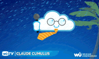 Meteorologist GIFs - Get the best gif on GIFER
