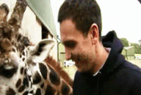 333 GIFs - Get the best gif on GIFER