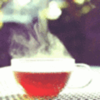 Rothschild GIFs - Get the best gif on GIFER