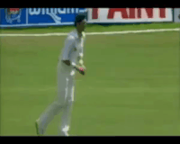 Cricket GIFs - Get the best gif on GIFER