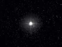 Bw GIFs - Get the best gif on GIFER