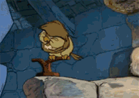 Superb GIFs - Get the best gif on GIFER