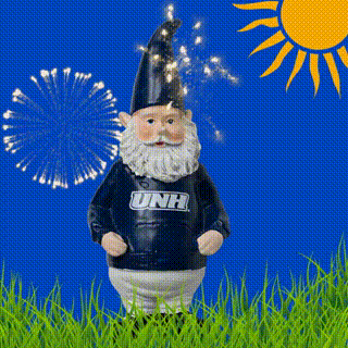 Unhfireworks GIFs - Get the best gif on GIFER