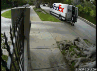 Customer GIFs - Get the best gif on GIFER