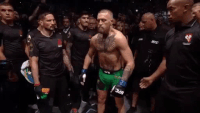 Mcgregor GIFs - Get the best gif on GIFER