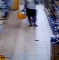 Provocation GIFs - Get the best gif on GIFER