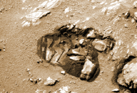 Footprints GIFs - Get the best gif on GIFER