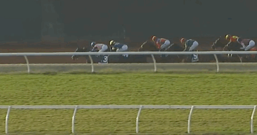 Midweek гифки, анимированные GIF изображения midweek - скачать гиф ...