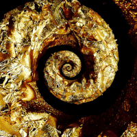 Gold GIFs - Get the best gif on GIFER