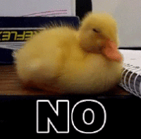 Dont GIFs - Get the best gif on GIFER