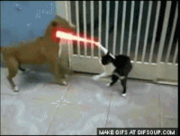 Geek GIFs - Get the best gif on GIFER