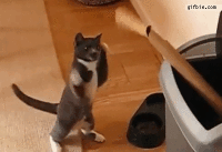 Training GIFs - Get the best gif on GIFER