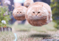 Volar GIFs - Get the best gif on GIFER