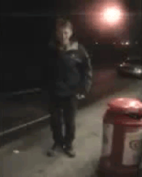 Pile GIFs - Get the best gif on GIFER