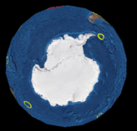 Pollinate GIFs - Get the best gif on GIFER