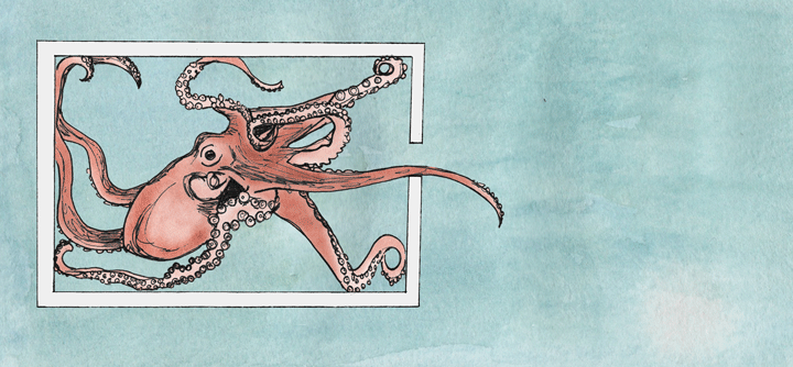 Octopus escaping GIF - Conseguir el mejor gif en GIFER