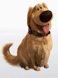 Dogs GIFs - Get the best gif on GIFER